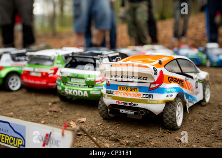 race, races, RC car, model, toy, rallye, Fiat Grande Punto WRC, remote ...