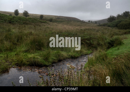 Stream running through Dunkery, Exmoor, Devon Stock Photo - Alamy
