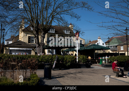 The Barmy Arms public house, The Embankment, Twickenham, TW1, London ...