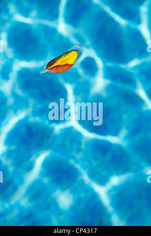 Swim ring with wave pattern in the empty clear pool. Swimming pool top ...