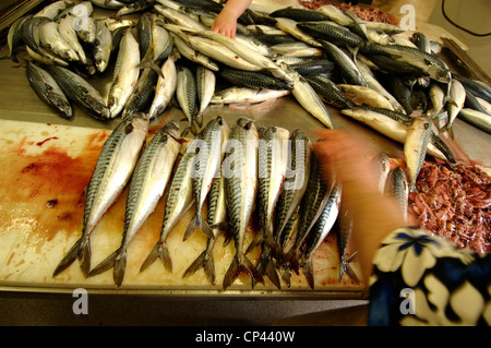 Germany - Bremen - Bremerhaven. Franke fishing industry. Fresh fish ...