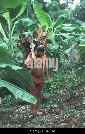 South America - Venezuela - Amazon. Yanoama Indian woman with a basket ...