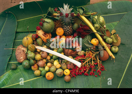 Costa Rica - Cartago - Turrialba. CATIE (Centro Agronomic Tropical de ...