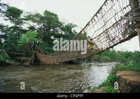 Ivory Coast - Region of lianas Man Bridge on the River Cavally Stock ...