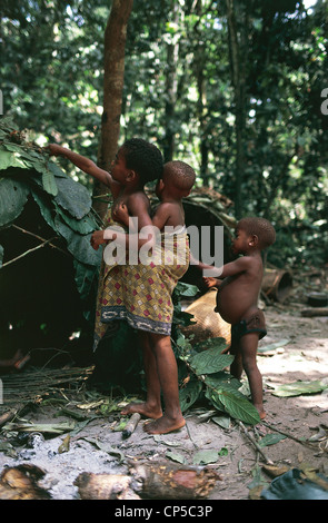 Pygmies Eastern Democratic Republic of Congo ex Zaire Central Africa ...