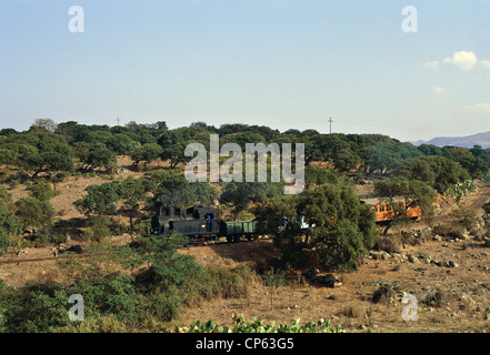 Italian Railways, the twentieth century - Sardinia Green Train - Train ...