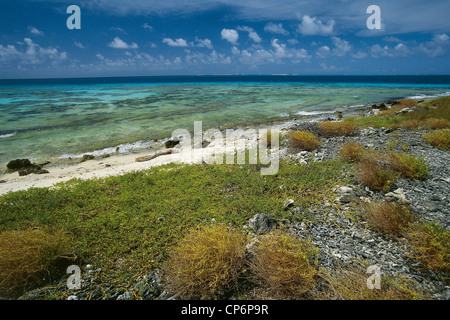 Venezuela South America Las Aves Archipelago Islands Islas de Aves ...