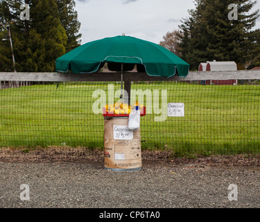 A self-serve farm stand with a wooden money cash box, garlic scapes ...