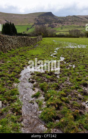 Water flowing through farm field in waterway. Concept of erosion ...