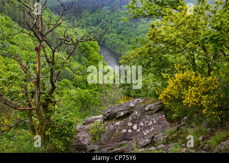 River Ourthe in the Ardennes, Belgium Stock Photo - Alamy