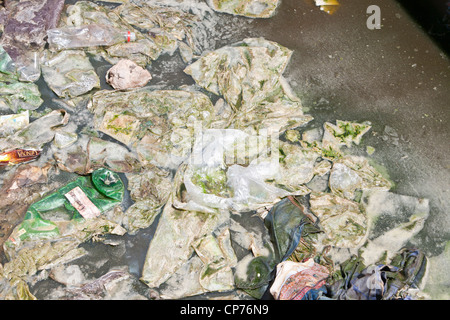 polluted water way in Marrakech, Morocco Stock Photo - Alamy