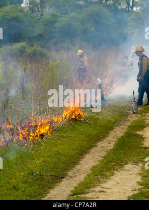 Prescribed prairie burn at the University of Wisconsin Arboretum ...