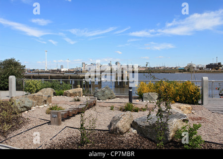 The Thames path Greenwich London England UK Stock Photo - Alamy