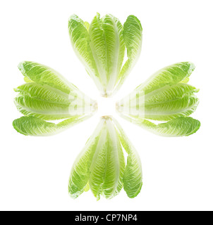Cos lettuce leaves Stock Photo - Alamy