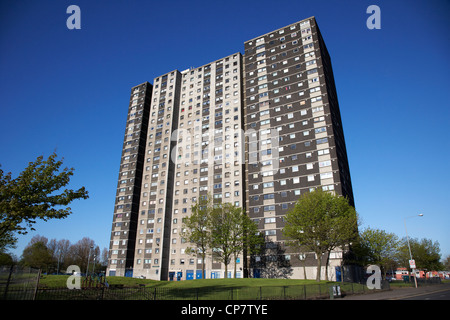 High Rise Social Housing, Gorbals, Glasgow Stock Photo - Alamy