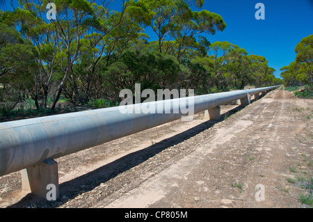 Above ground water pipeline near Iron Knob on the Eyre Highway South ...