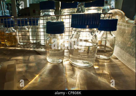 Scientific experiment solutions at molar concentration ready for ...