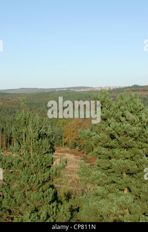 New Fancy Viewpoint; Forest of Dean; UK Stock Photo - Alamy