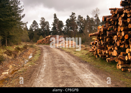 Logging activities in Cropton Forest, North Yorkshire Moors National ...
