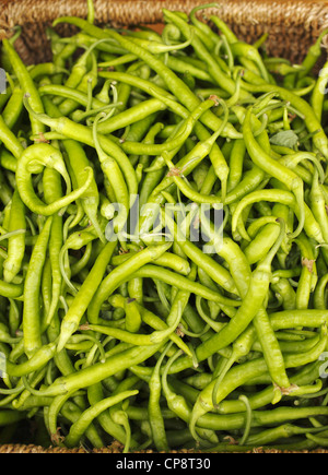 long pepper, long peppers Stock Photo - Alamy