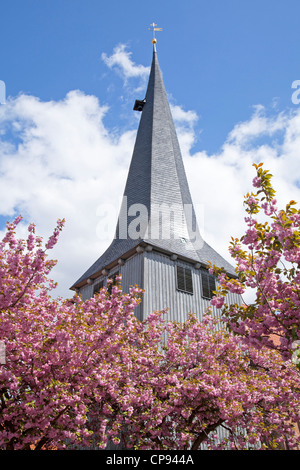 Altes Land, cherry blossom near Jork, Lower Saxony, Germany Stock Photo ...