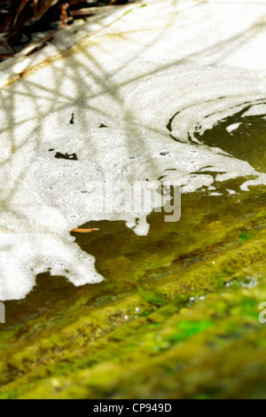 scenes of pollution in natural and disrespect to the ecology Stock ...