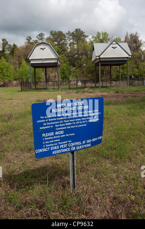 Bat house complex at the University of Florida Gainesville Stock Photo ...