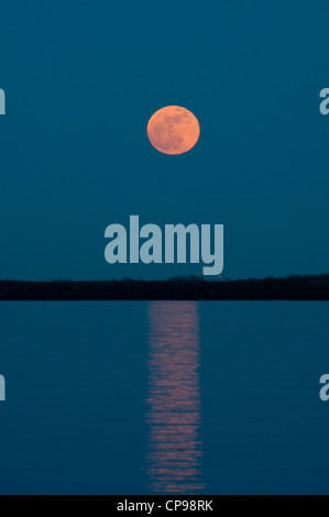 Full Moon over Montreal Stock Photo - Alamy