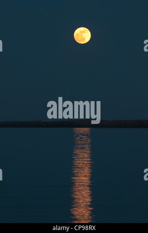 Full Moon over Montreal Stock Photo - Alamy