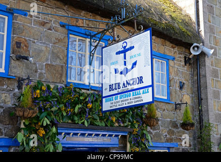 The Famous Blue Anchor pub at Helston in Cornwall, UK Stock Photo - Alamy