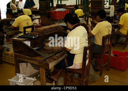 Workers rolling cigars in a cigar factory in Manicaragua, Villa Clara ...