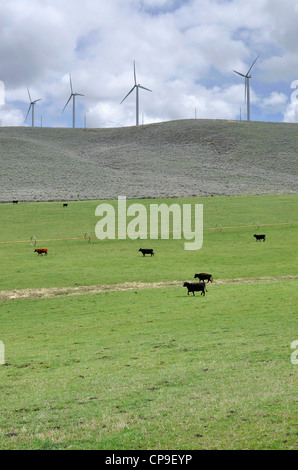 Wind turbines at Spring Valley Wind Farm, Nevada Stock Photo - Alamy