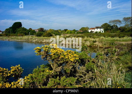solent way solent way sea ocean long distance coast coastline coastal ...