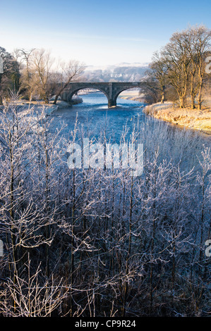 Frosty morning in the Scottish borders Nr Galashiels Scotland UK Stock ...
