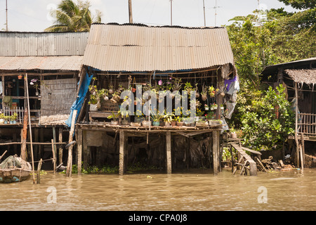 Typical Vietnamese tin shack stilt houses on riverside of Co Chien ...