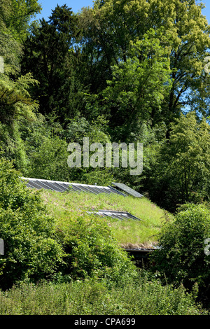 Building with green grass on the roof and a blue sky in the background ...