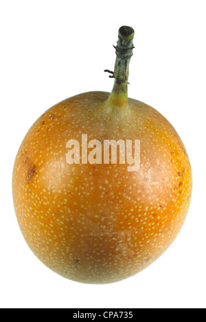 Esotic Fruit, Passion Fruit, Grenadilla, Passiflora ligularis, Isolated ...