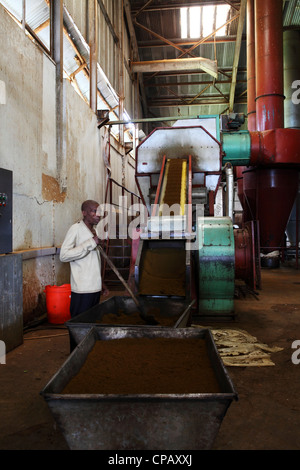 The Gisakura Tea Factory in Rwanda Stock Photo - Alamy