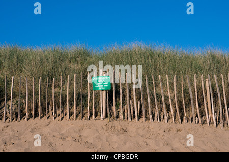 sand dunes, Bantham, South Hams, Devon, England.Bantham Bay,South Hams ...