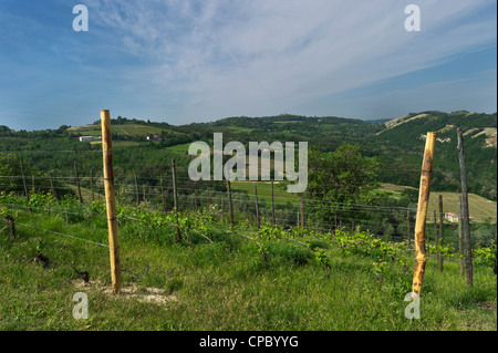 country landscape at Loazzolo, Langhe astigiane zone, Piedmont, Italy ...