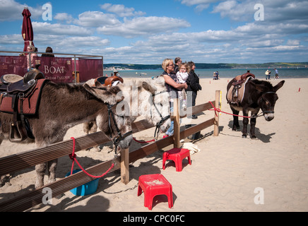 Donkey rides on Weymouth Beach, Dorset, UK. Children enjoy a donkey ...