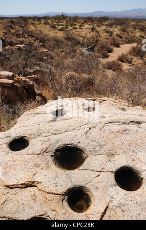 Metate (grinding stone) used to grind up corn and other types of grains ...