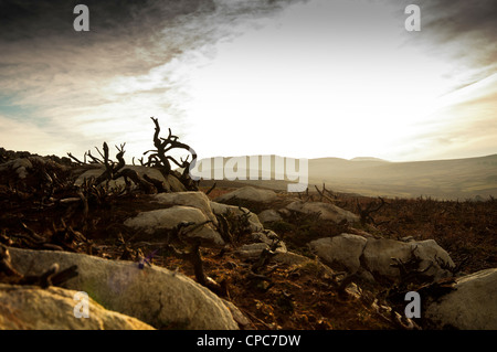 Moorland above Capelulo near the Conwy mountains by Maen Esgob looking ...