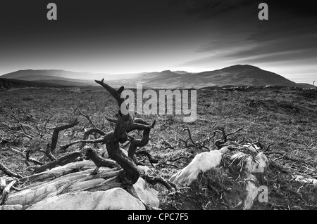 Moorland above Capelulo near the Conwy mountains by Maen Esgob looking ...