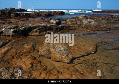 Rocky shoreline of Sheffield Beach, Kwazulu Natal, South Africa Stock ...