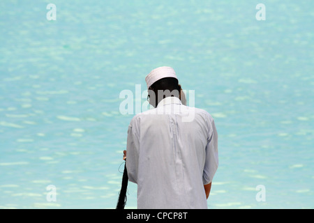 Shell in Zanzibar Stock Photo - Alamy