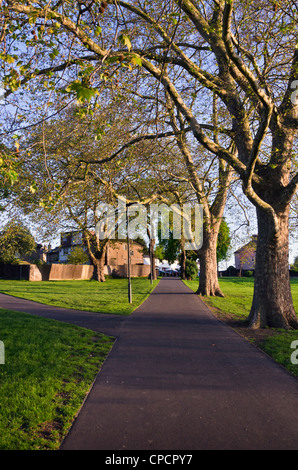 Ladywell Fields Park Stock Photo - Alamy