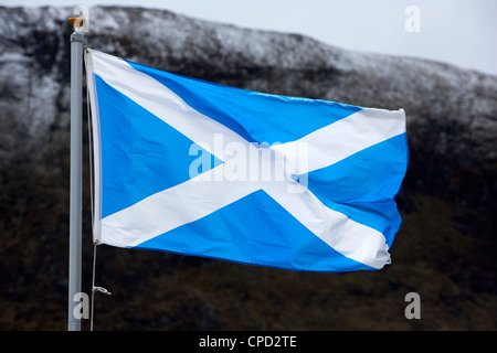 Scottish Flags - The national flag (the Saltire) and the Lion Rampant ...