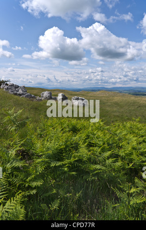 Limestone pavement on the top of Farleton Knott Cumbria looking west ...