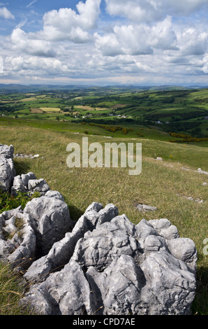 Limestone pavement on Farleton Knott Stock Photo - Alamy